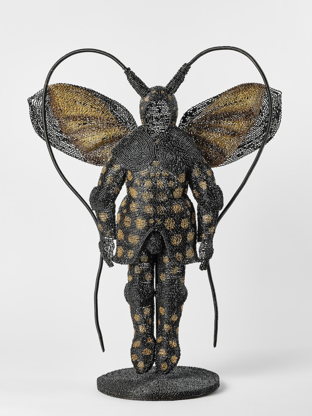 Walter Oltmann: Metamorphosis | Norval Foundation