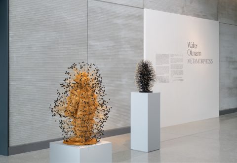 Walter Oltmann: Metamorphosis | Norval Foundation